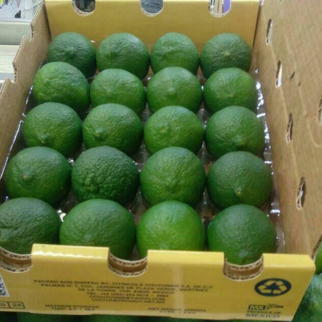 Limón Persa en GPAG ORGANICOS SRL DE CV de México - ppfam.com